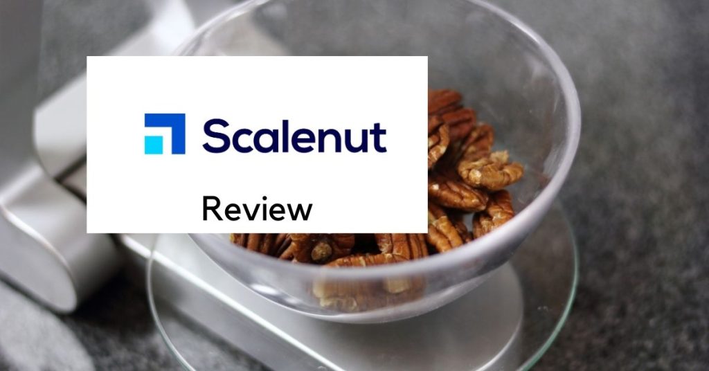 Scalenut Review